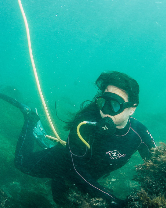 What is Hookah Diving System. Smoking tobacco hookah is a popular… | by ...