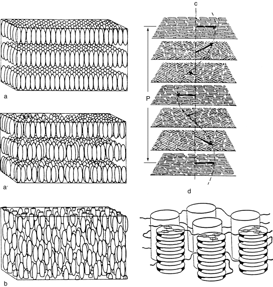 Shaping the Future: Liquid Crystal Polymers Market Size Analysis | by Purva Jadhav | Apr, 2024 ...