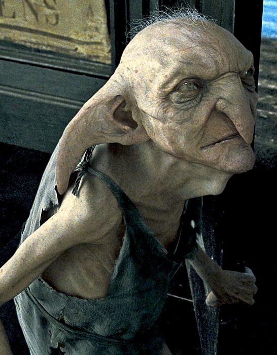 Kreacher: The Complex Journey of a House-Elf | by Happyyipo | Medium