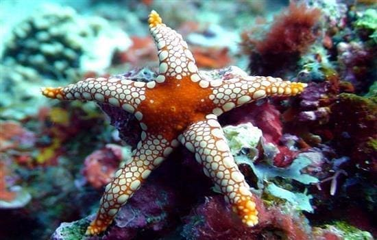 Trip to Hurghada - Mohamed Usama - Medium