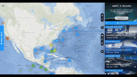Dive into the World of Sharks with the OCEARCH Shark Tracker | by www ...