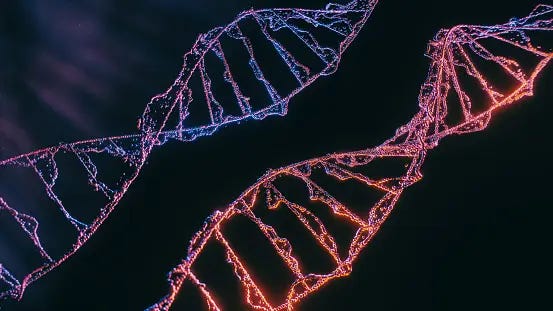 Did You Know: We All Share 99.9 of the Same DNA? | by Dana Watson | Medium