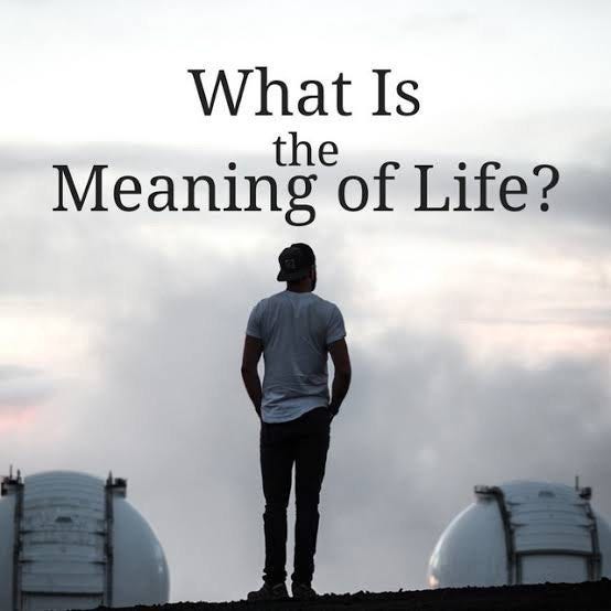 What is the meaning of life?. Do you know the answer? Before starting ...