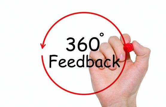 Maximizing Insights with Multi Rater Feedback With A Sample Approach to ...