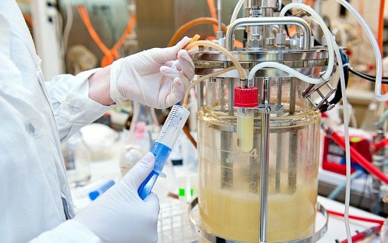 Making Milk from Yeast — Acellular Agriculture Revolutionizing the ...