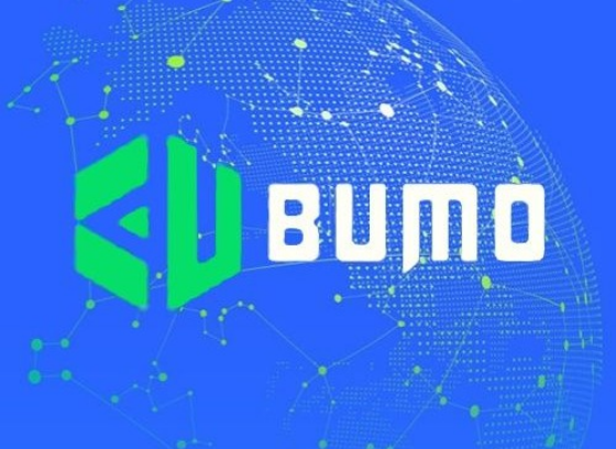 BUMO: a reliable transfer network. | by Lennys Karina Cerpa Jimenez ...