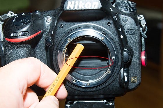 Capture Every Moment with the Nikon D850 Camera Sensor | by Alexmuller ...