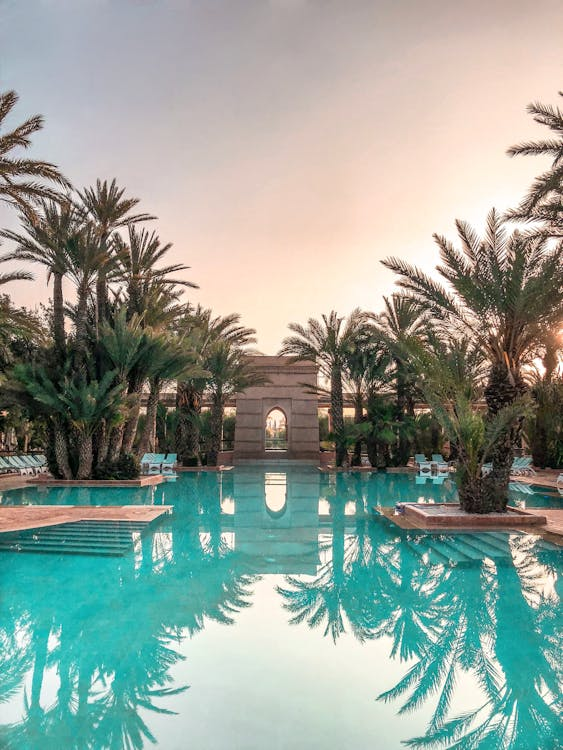 Gas vs. Electric Pool Heaters: Which Is Right for You? | by Guardian ...