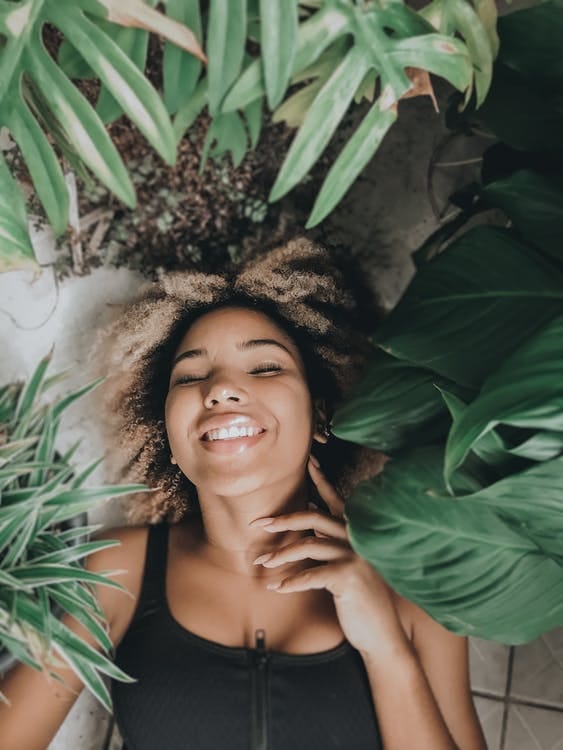 Celebrating Black Botanists and Black Houseplant Enthusiasts ...