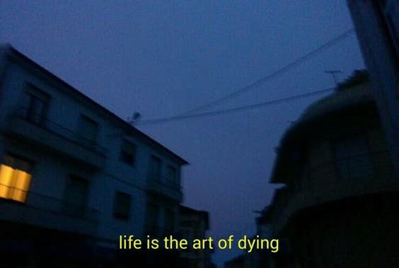 Lifeline Winter Drifter Medium