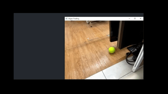 Real-time Object Tracking and Classification with OpenCV and DenseNet | by Chen-Yu Chang | Medium