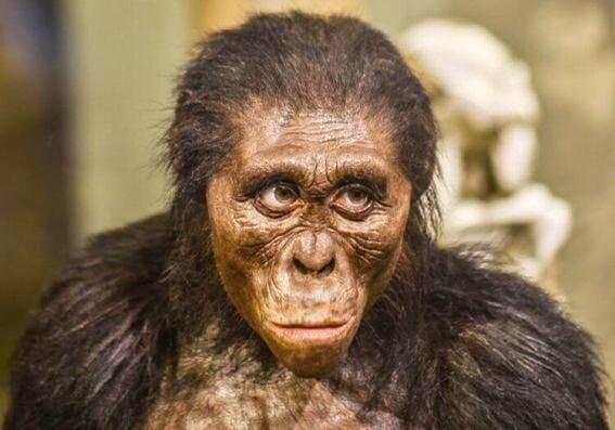 Why Did Aliens Divide Homo Sapiens into Four Races? And Whom Did the ...