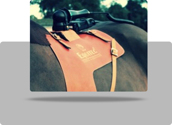 Equine Infrasound — Equine Laser Therapy Machine | Equine Cryotherapy ...