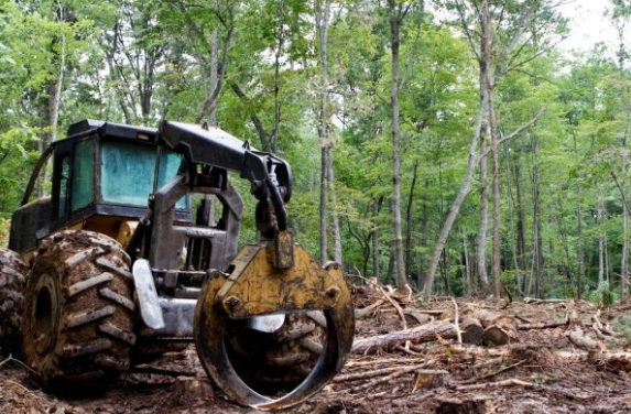 Why You Should Choose Professional Land Clearing Services Near You | by ...