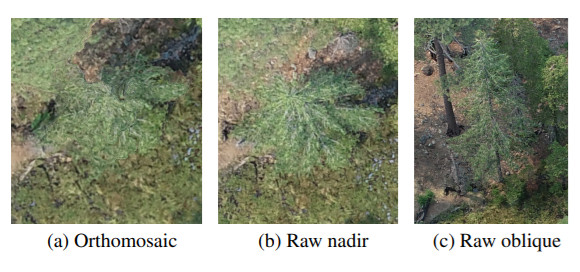 Multiview aerial imagery for geospatial object classification | by adhiguna mahendra | Jun, 2024 ...