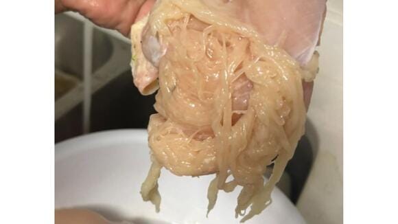 This Isn’t Food: “Spaghetti Meat Chicken" Is Only One Symptom Of Broken ...