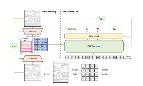 Papers Explained 19: DiT. DiT is a self-supervised pre-trained… | by ...