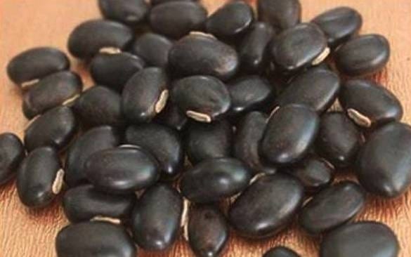 What Are The Health Benefits Of Kaunch Seeds (Mucuna Pruriens) And How ...