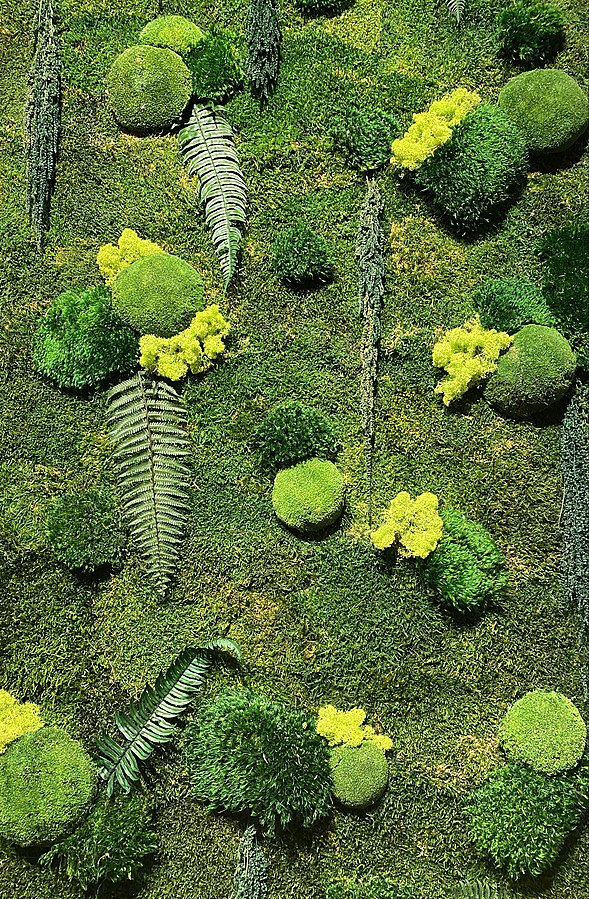Folk Art from the Forest: Moss Work — A Botanical History | by Danielle ...