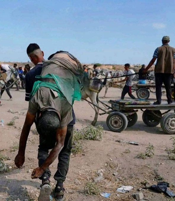 Trump’s 21 Point Plan for Gaza. Some Points Stink, some are Good. | by Ed Desmond | Sep, 2025 ...