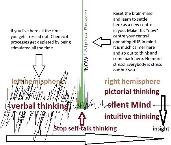 Nothingness in us. The complexity of brain-mind processes… | by Siri ...