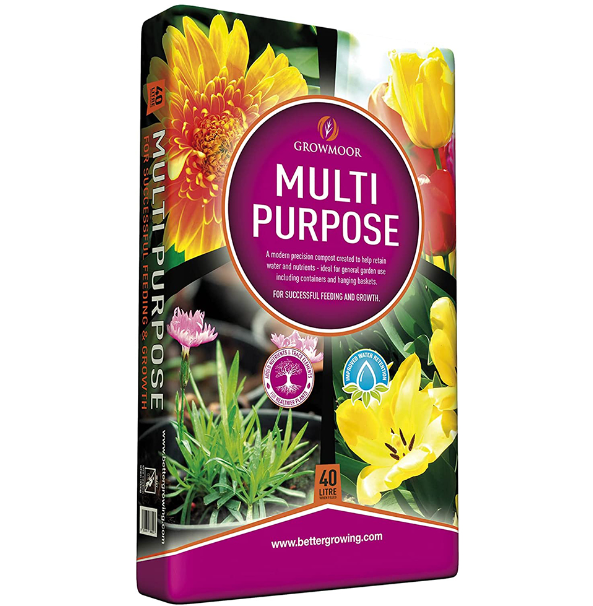 The Secret to Thriving Indoor Plants: Unleashing the Power of Indoor ...