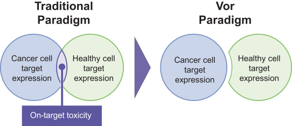 Axial S-1 Club — Vor Biopharma. More well thought out work can be found ...