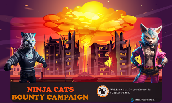 Ninja Cats. Ninja Cats | by Kipas Bingong | Medium