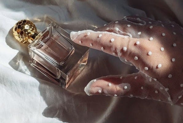 How to Store and Preserve Your Perfume Collection | by The Maynard Collection | Jun, 2024 | Medium