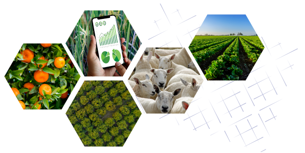 AgriTech: How Data Labeling and AI Technologies are used in the ...