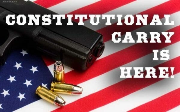 Are All The Constitutional Carry States Safer Than Michigan? | by ...