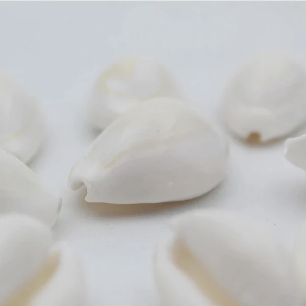 Safed Kaudi - Ankit Taskrobot - Medium