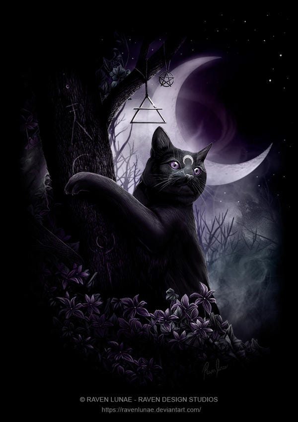 Telepathic Magic from My Black Cat Blocked My Magic Attack Against the ...