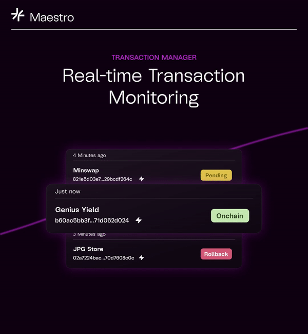 Transaction Manager: Cardano’s 1st all-in-one transaction monitoring ...