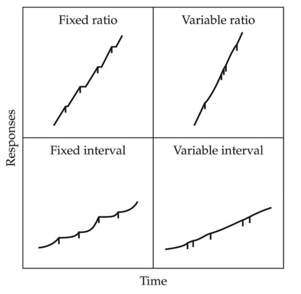 F*ckboys and Costa Coffee: Schedules of Reinforcement, and the Science ...