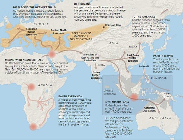 Origin of the AASI lineage and its specific regional substructure | by ...