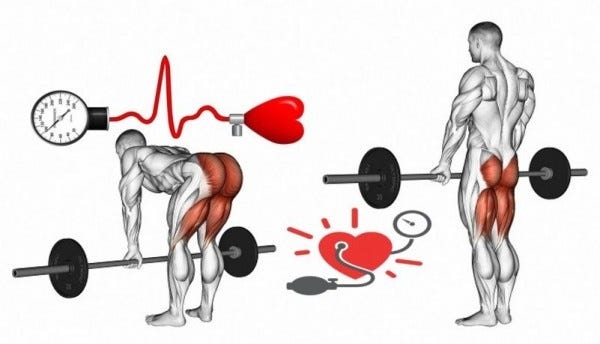 The Wisdom of Abigail: A Strength Training Analogy for Blood Pressure Management | by Gary Foo ...