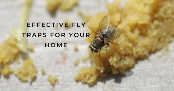 10 White Vinegar Fly Traps To Get rid of House Flies | by Rid of Pest ...