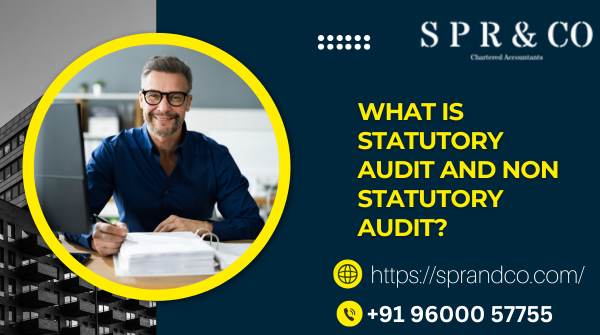 Understanding Statutory and Non-Statutory Audits | by Sprandco Digital ...