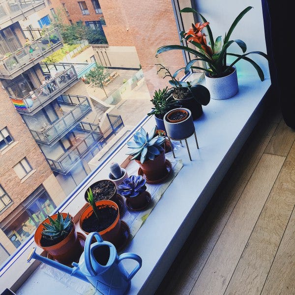 The family grows | by Tibz (Thibault Lemaitre) | Medium