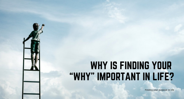 Why is finding your “Why” important in life? | by Bryan Se To | Medium