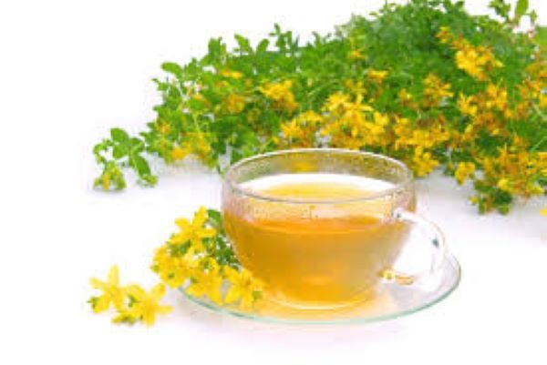 Senna Tea — Benefits, Uses, and Recipes | by Vhjjfyu | Medium