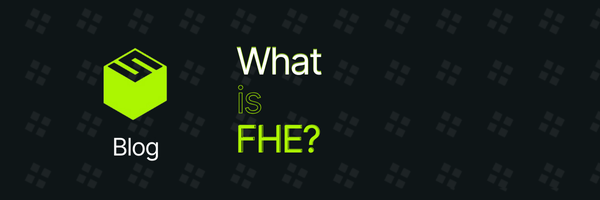 What is FHE?. An In-Depth Look at Fully Homomorphic… | by Sight AI | Medium