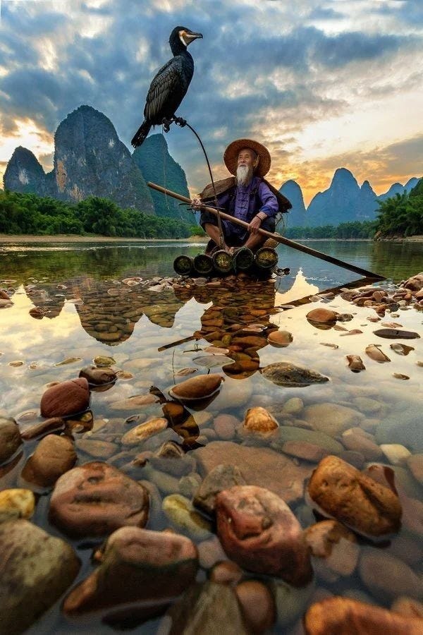 What are some of the most mind-blowing facts? | by Cristi | Medium