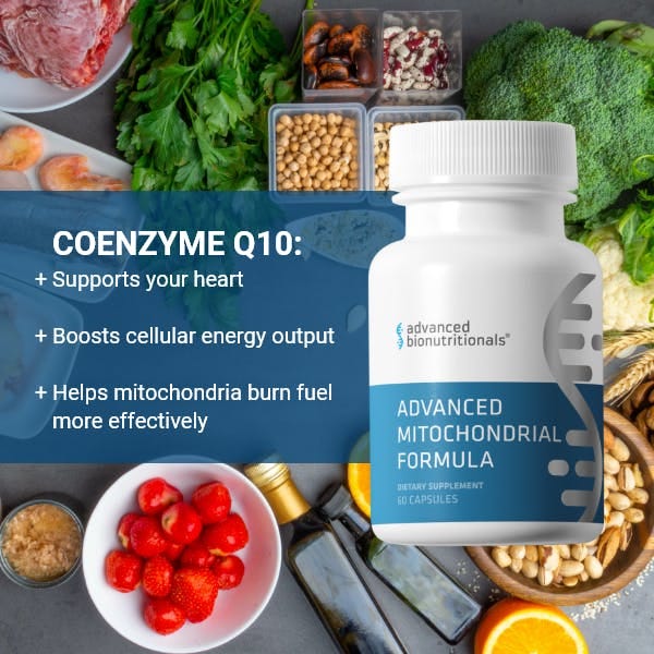 Cellular Vitality: The Key to Optimal Health and Performance | by Imam ...