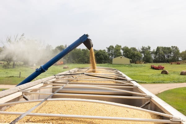 Create Havoc for Farmers, Get Them Back to Zero, and Claim Victory | by ...