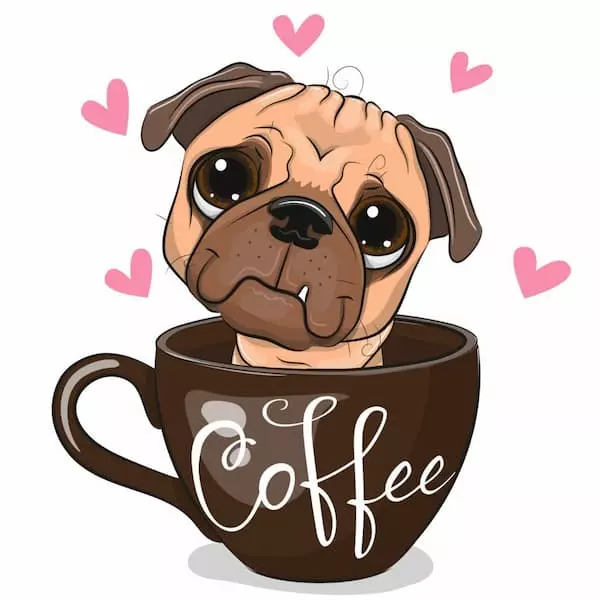 50 Coffee Inspired Dog Names: Which One Will You Pick? | by Othmane Othmaneel | Nov, 2023 | Medium