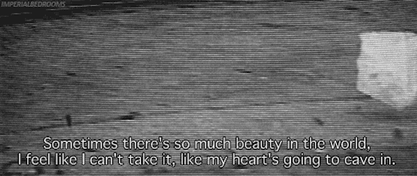 Script To Screen: “American Beauty” | by Scott Myers | Go Into The Story