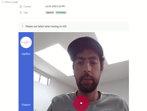 How to Deploy AI and Computer Vision Containers on Google Cloud Run | by Nezare Chafni ...