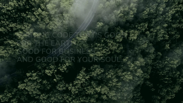 Coding for a Greener Future: How Programmers Can Lead the Charge in Sustainable Software ...